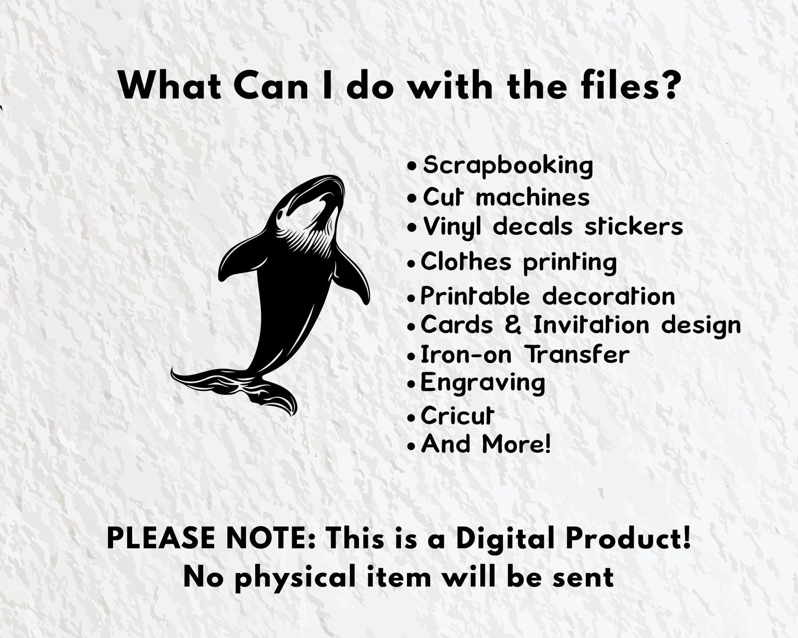 Beluga Whale SVG Bundle: Silhouette Clipart, Cricut Cut Files (PNG ...