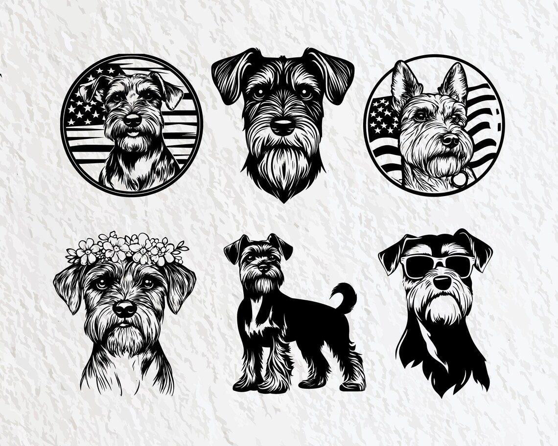 Miniature Schnauzer Svg Bundle, Miniature Schnauzer Silhouette ...