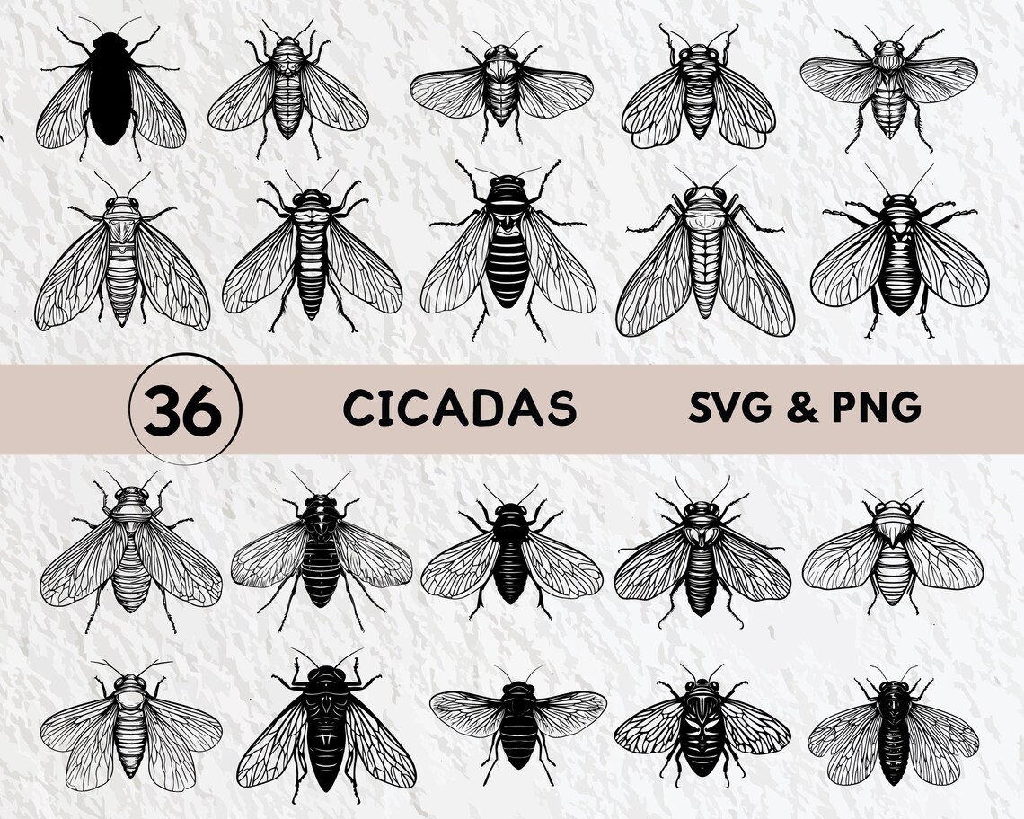 Cicadas Svg Bundle, Cicadas Silhouette, Cicadas Clipart, Cicadas ...