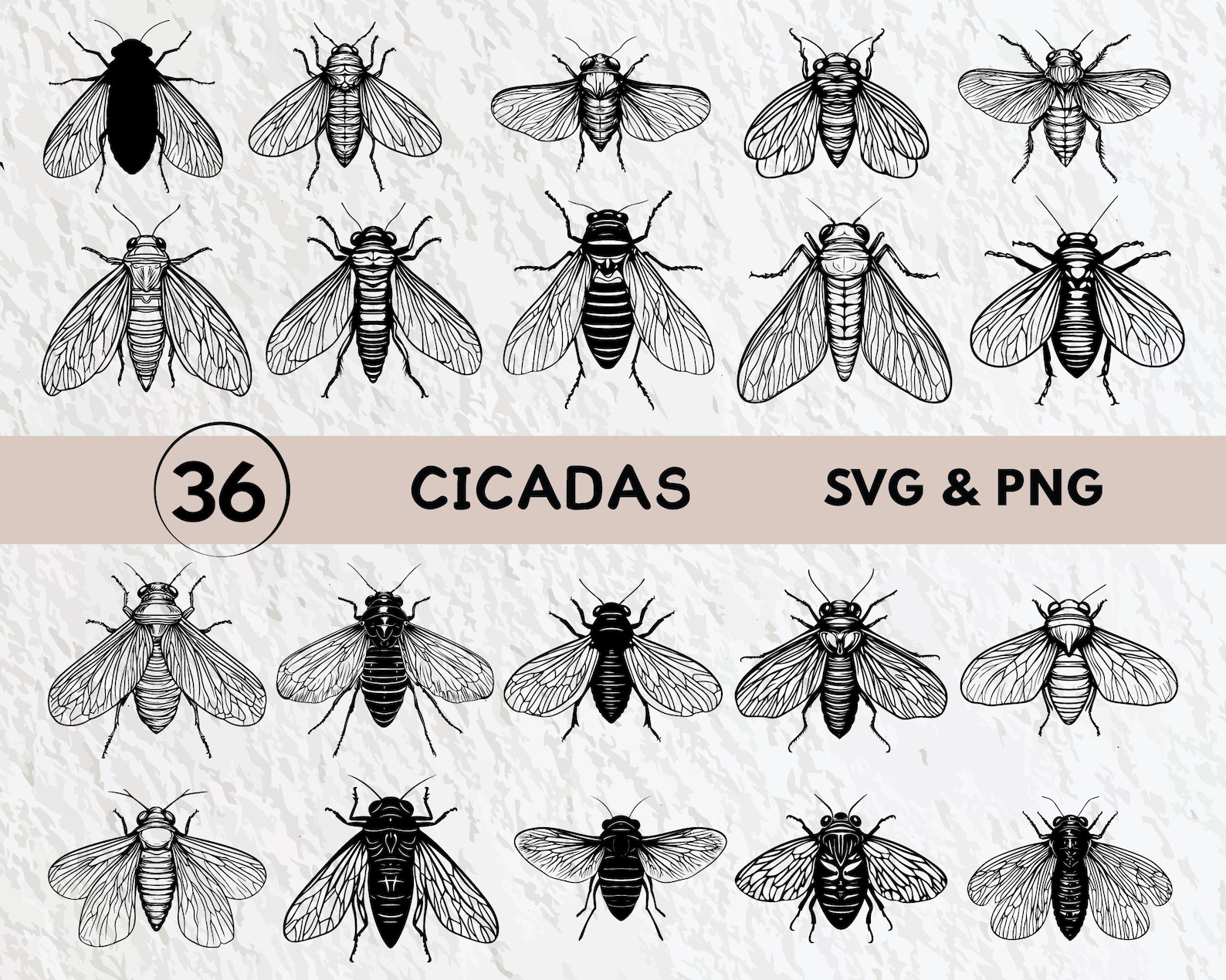 Cicadas Svg Bundle, Cicadas Silhouette, Cicadas Clipart, Cicadas ...