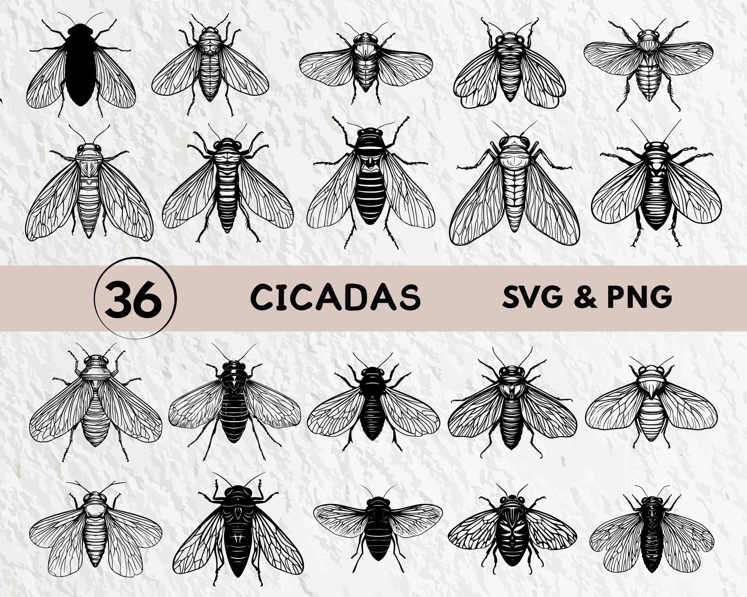 Cicadas Svg Bundle, Cicadas Silhouette, Cicadas Clipart, Cicadas ...