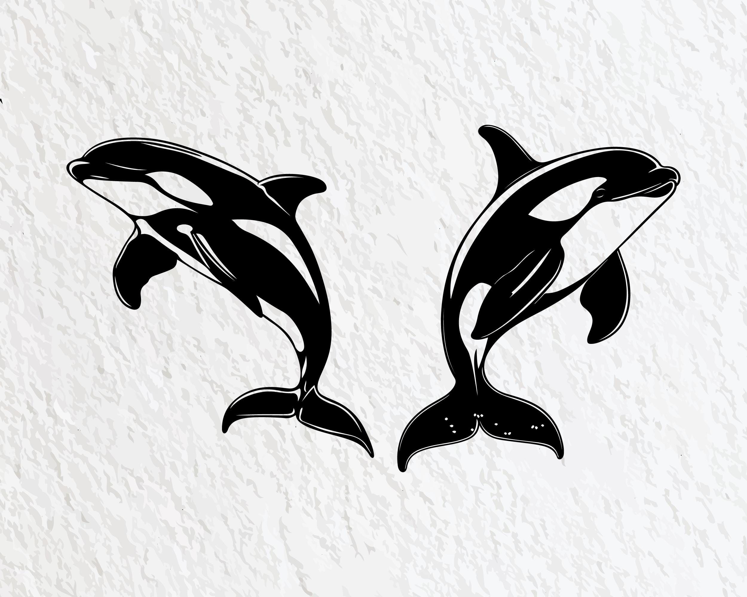 Orca Svg Bundle, Orca Silhouette, Orca Clipart Png, Orca Outline, Orca ...