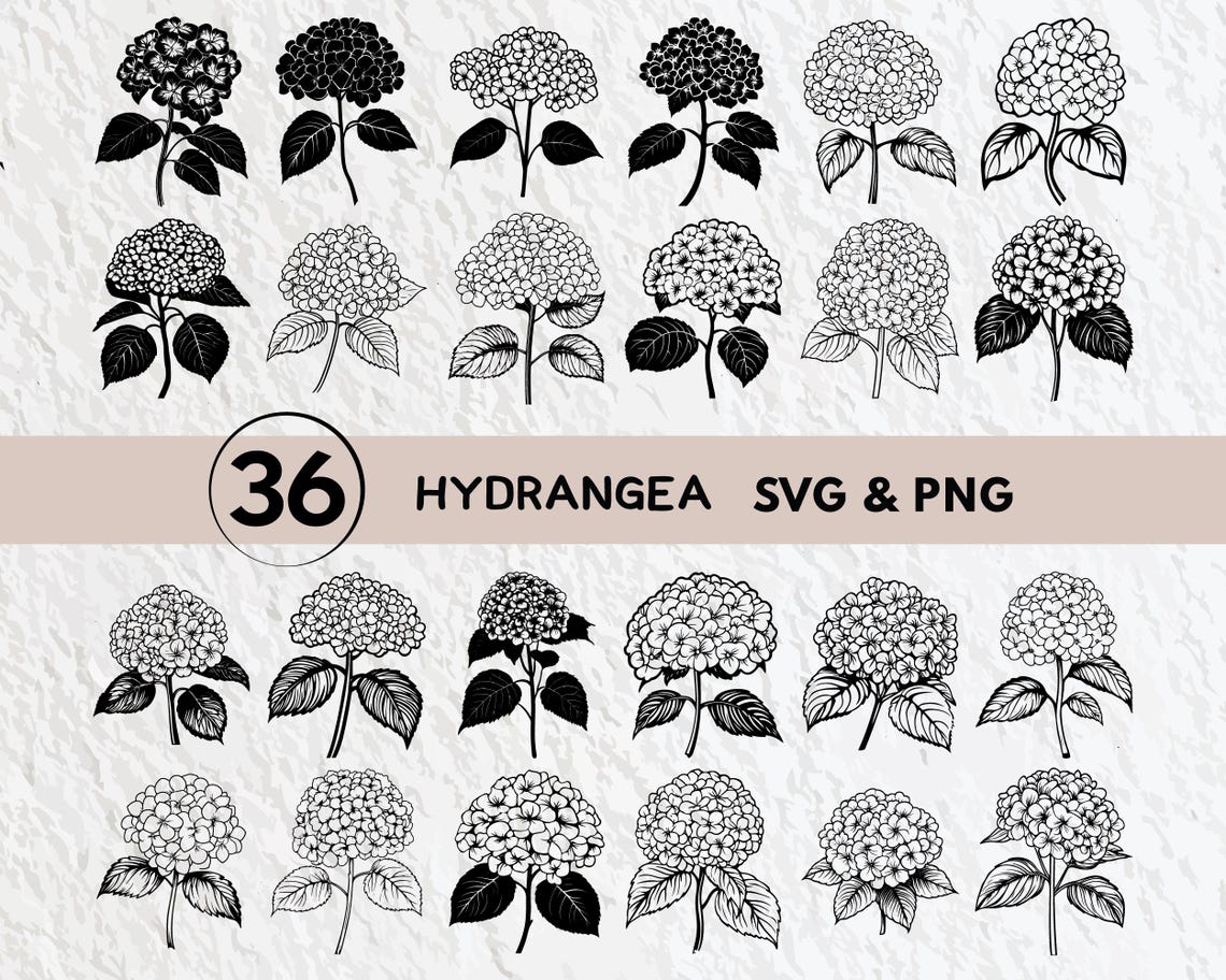 Hydrangea SVG Bundle: Floral Silhouette, Clipart, Vector (digital ...
