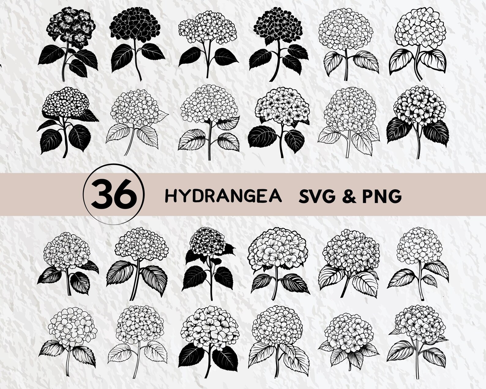 Hydrangea SVG Bundle: Floral Silhouette, Clipart, Vector (digital ...