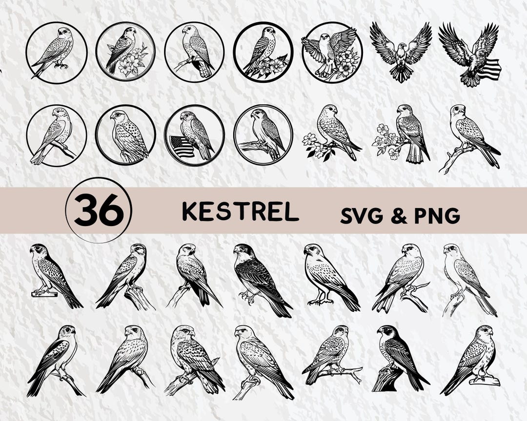 Kestrel Svg Bundle, Kestrel Silhouette, Kestrel Clipart Png, Kestrel ...