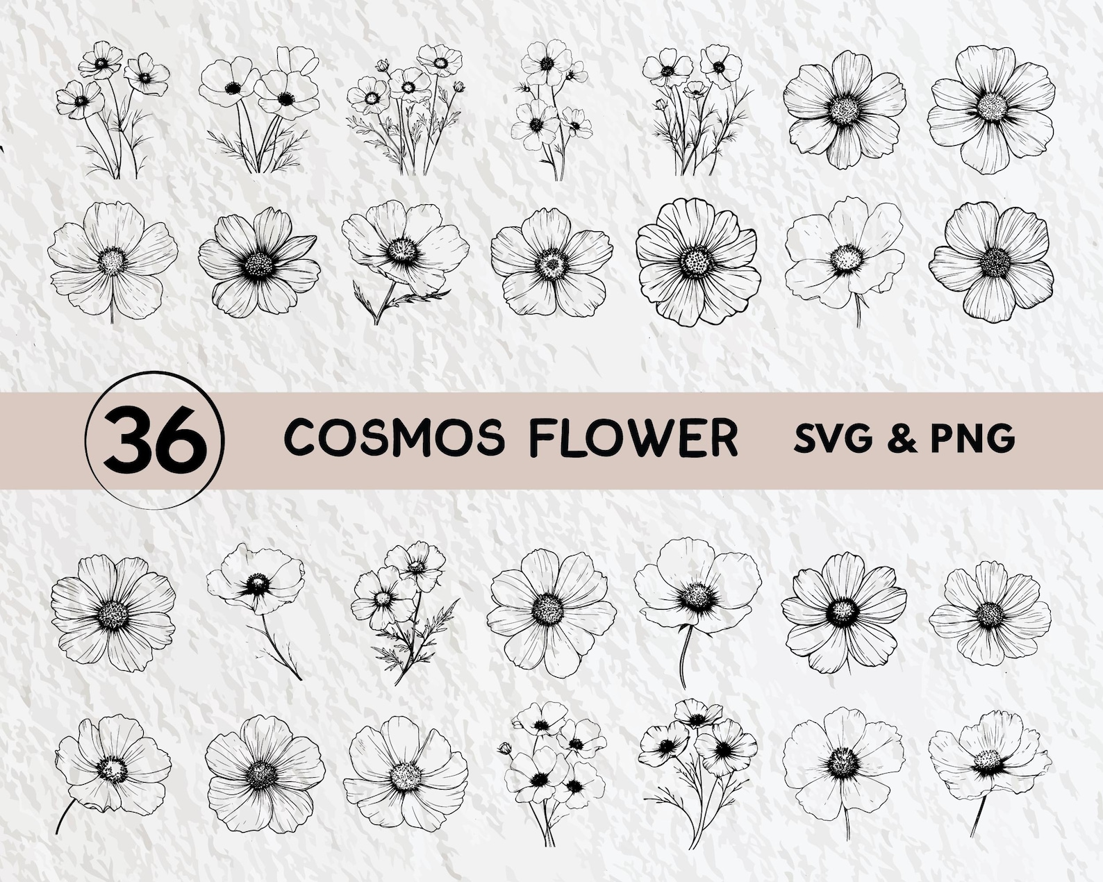 Cosmos Flower Svg Bundle, Cosmos Flower Silhouette, Cosmos Flower ...