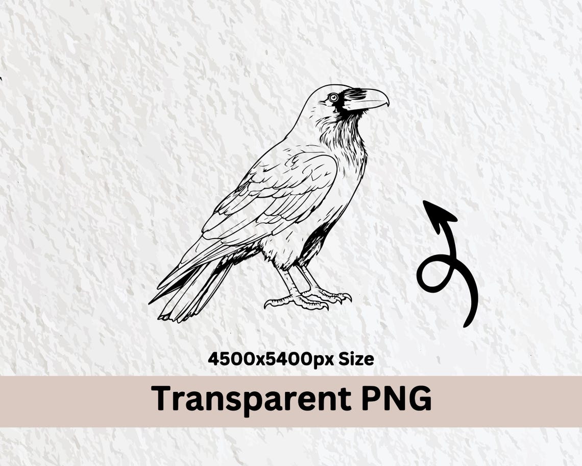 Raven Svg Bundle, Raven Silhouette, Raven Clipart Png, Raven Outline ...