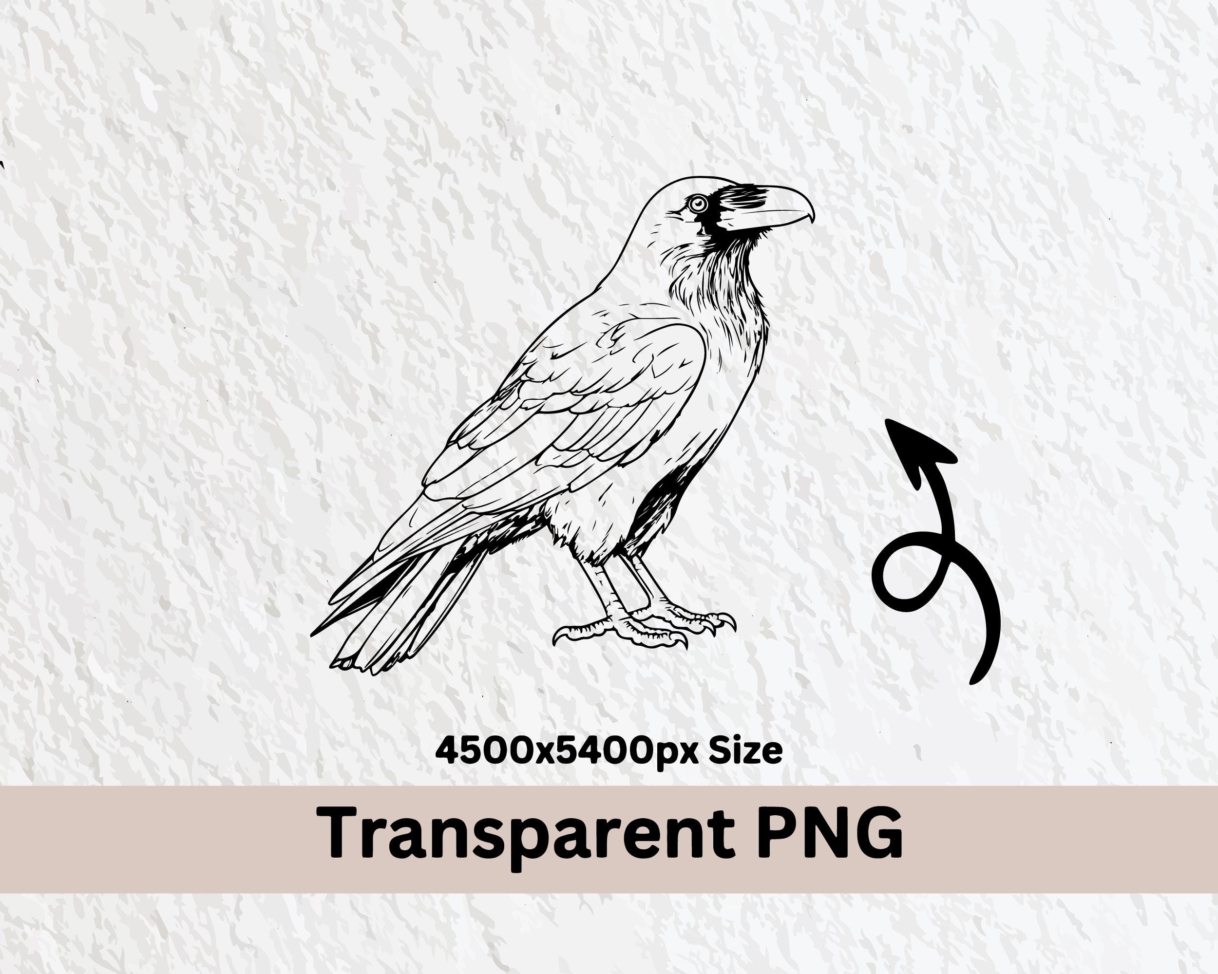 Raven Svg Bundle, Raven Silhouette, Raven Clipart Png, Raven Outline ...