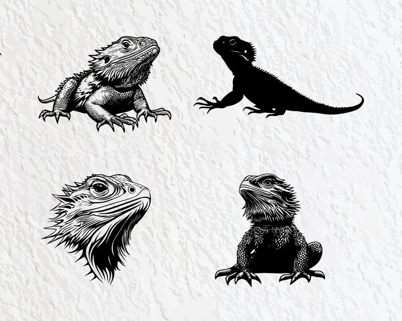 Bearded Dragon Svg, Bearded Dragon Silhouette Bundle, Bearded Dragon ...