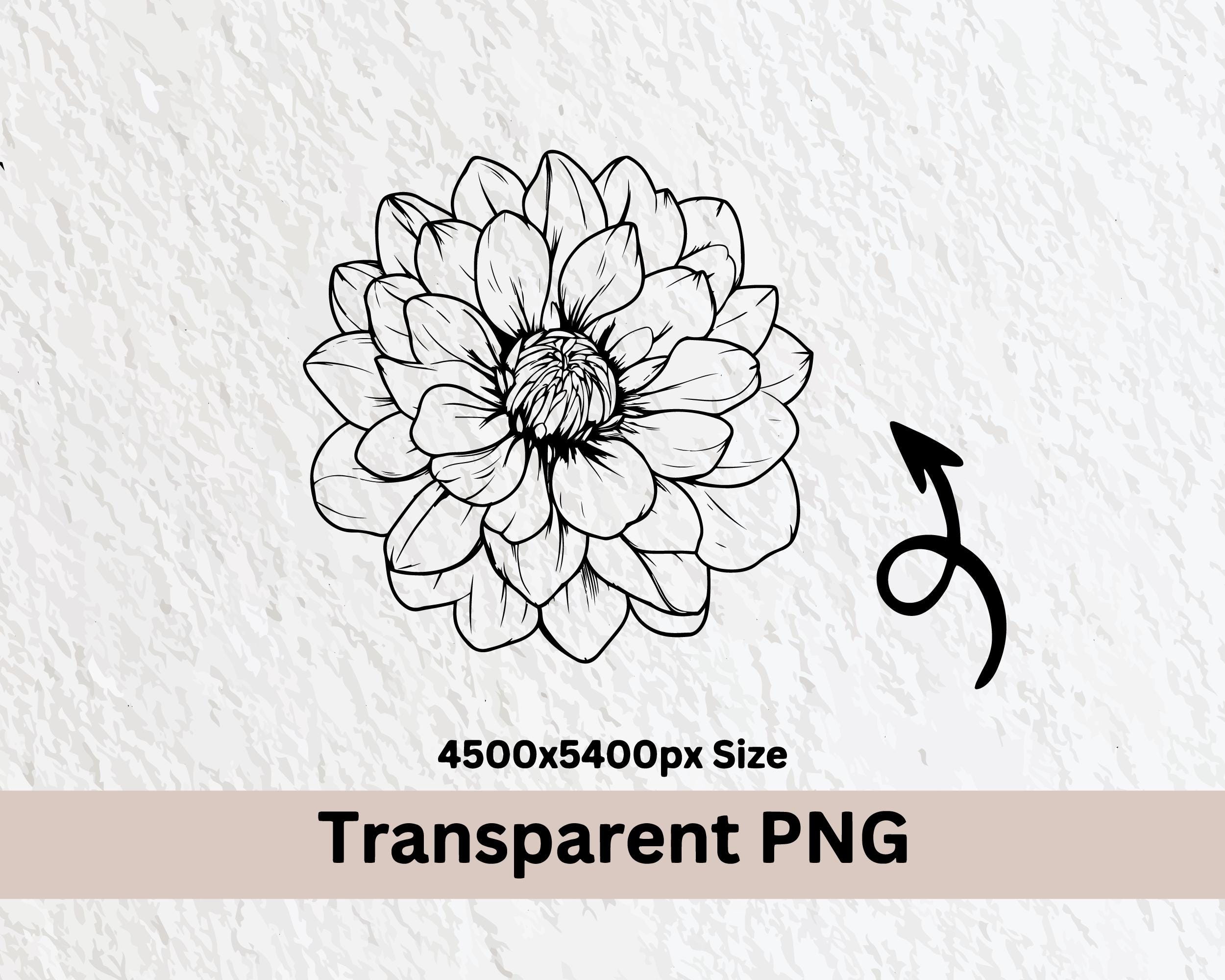 Aster Flower SVG Bundle: Floral Clipart, Logo Icon Files - Etsy
