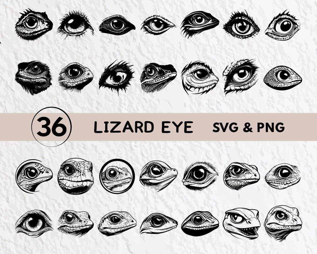 Lizard Eye Svg Bundle, Lizard Eye Silhouette, Lizard Eye Clipart Png ...