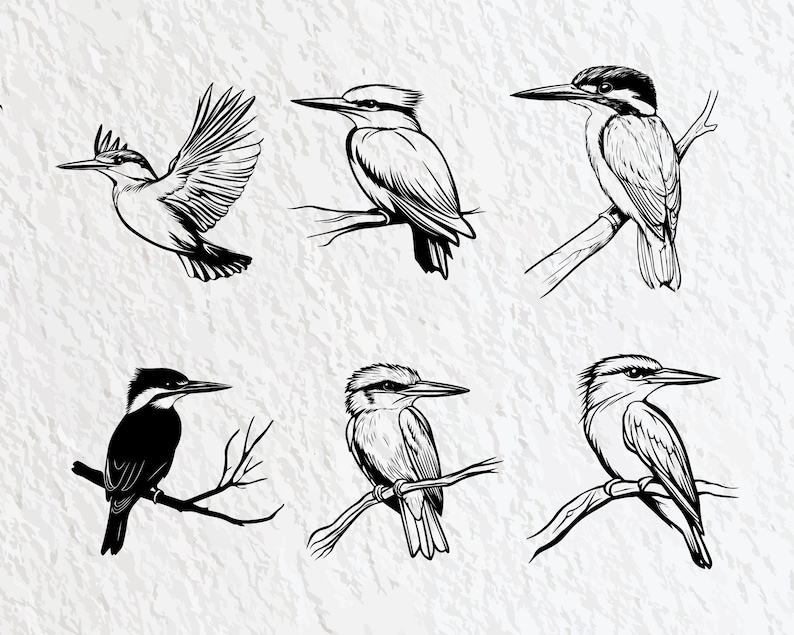 Kingfisher Svg Bundle: Bird Silhouette, Clipart, Vector (digital ...