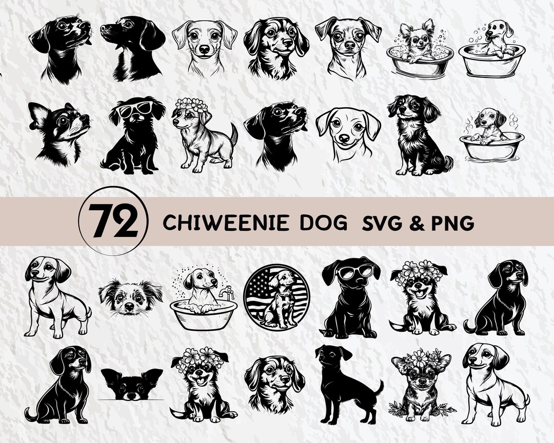 Chiweenie Dog Svg Bundle, Chiweenie Dog Silhouette, Chiweenie Dog ...
