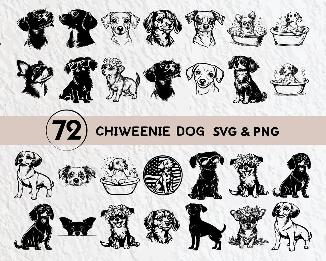 Chiweenie Dog SVG Bundle: Silhouette, Clipart, Outline (PNG, Cricut) - Etsy