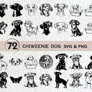 Chiweenie - Etsy