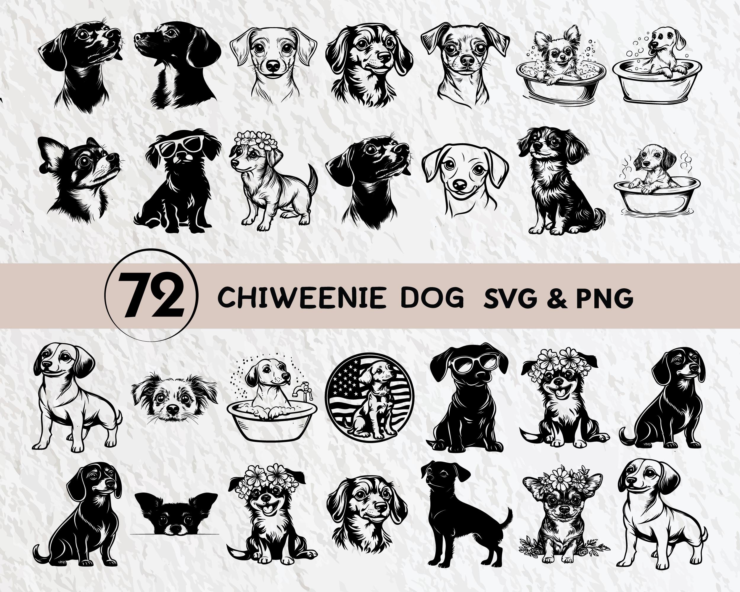 Chiweenie Dog Svg Bundle, Chiweenie Dog Silhouette, Chiweenie Dog ...