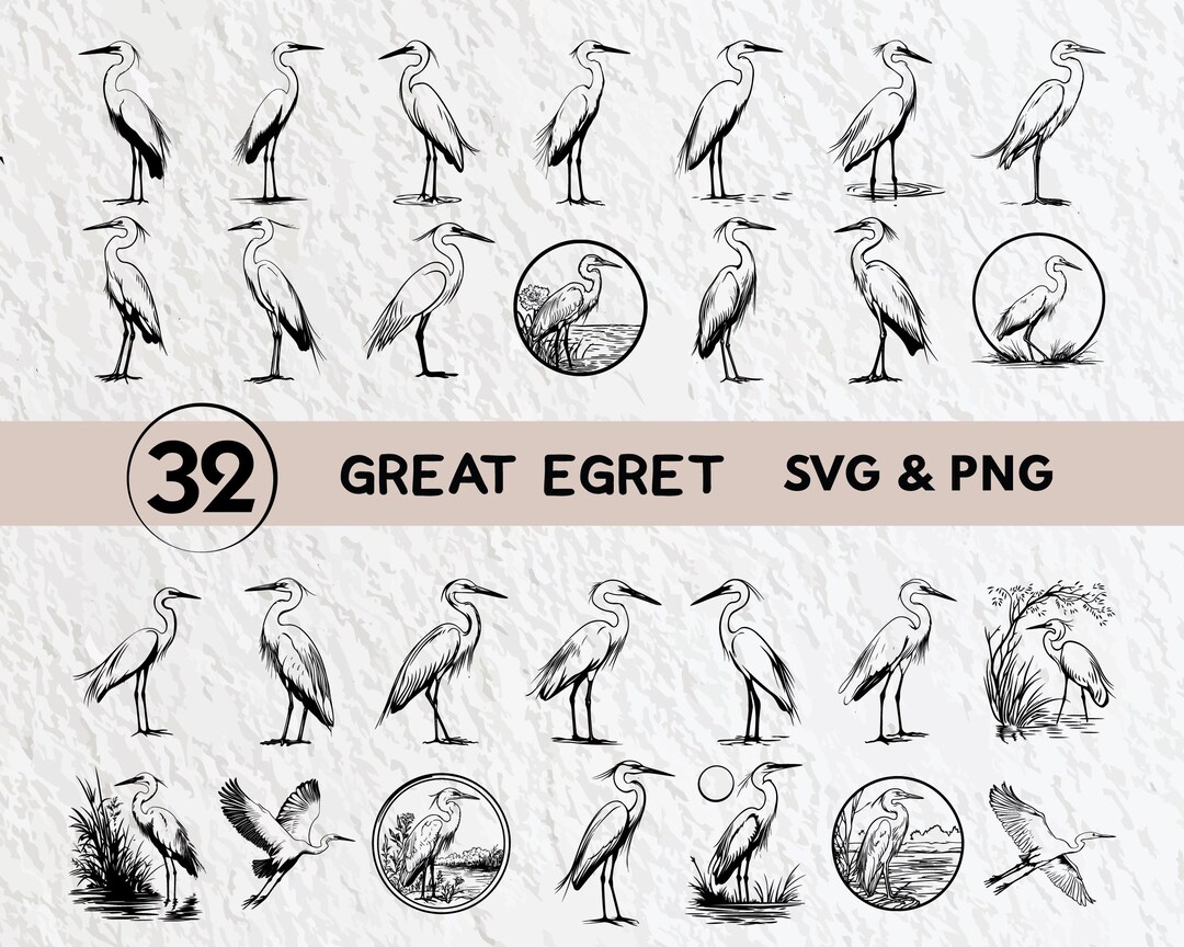 Great Egret Svg Bundle, Great Egret Silhouette, Great Egret Clipart Png ...