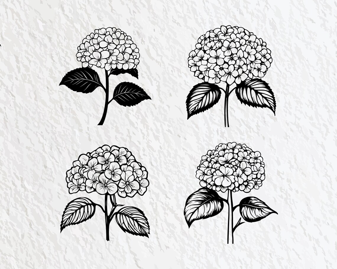 Hydrangea SVG Bundle: Floral Silhouette, Clipart, Vector (digital ...