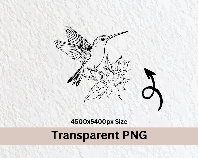 Hummingbird SVG Bundle: Outline Art, Decal, Logo (digital Download) - Etsy