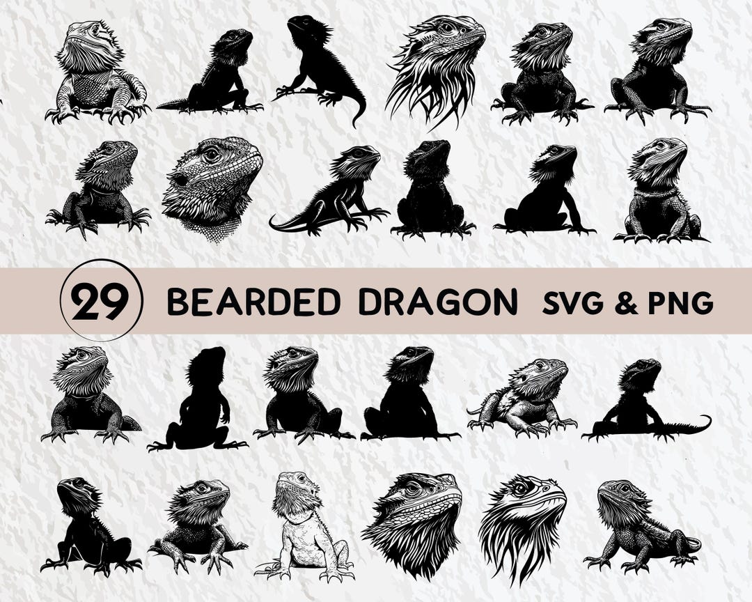 Bearded Dragon Svg, Bearded Dragon Silhouette Bundle, Bearded Dragon ...