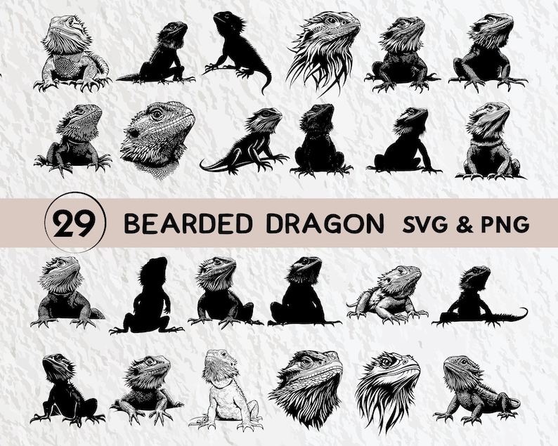 Bearded Dragon Svg, Bearded Dragon Silhouette Bundle, Bearded Dragon ...