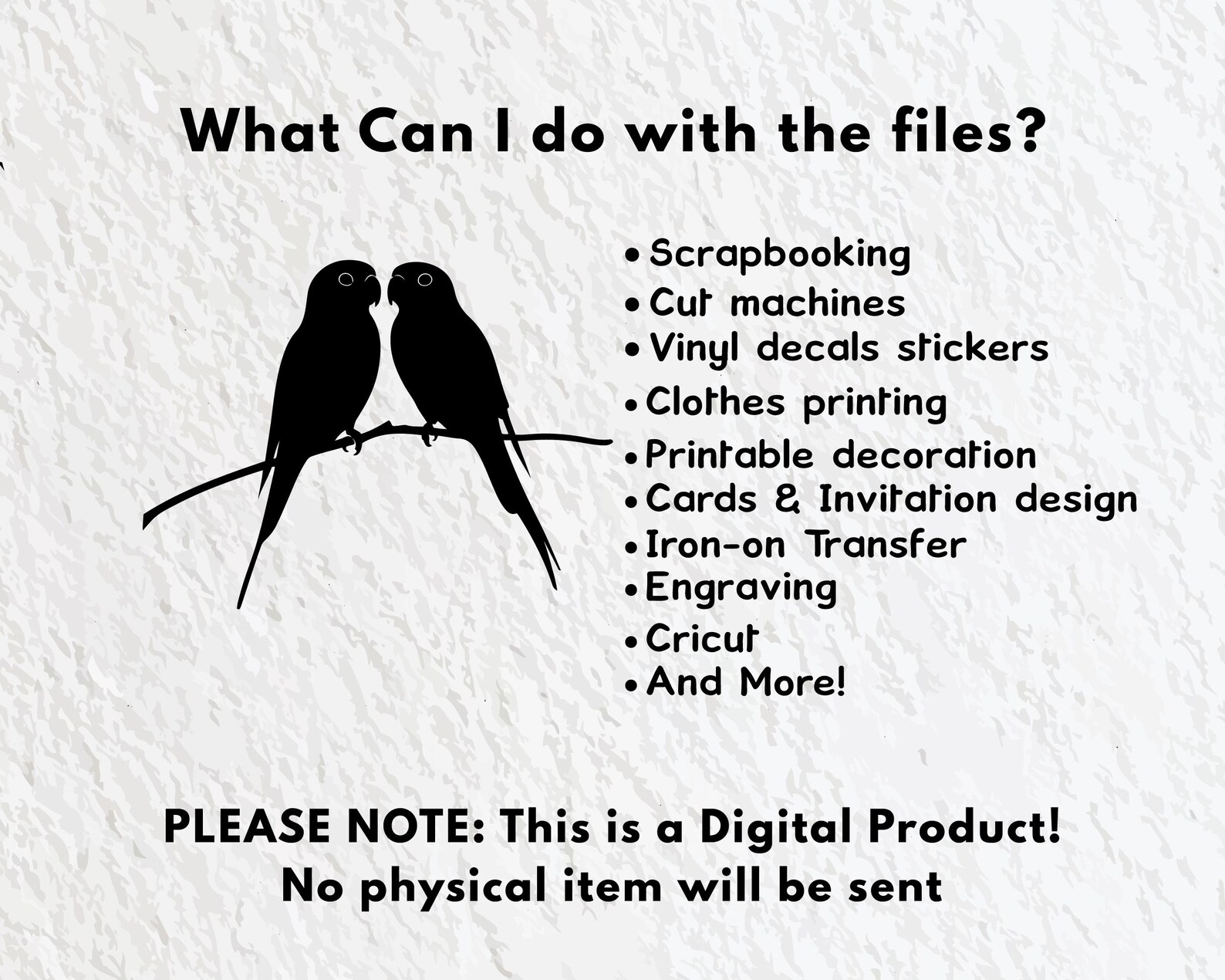 Budgie Bird SVG Bundle: Silhouette, Clipart, Vector (digital Download ...