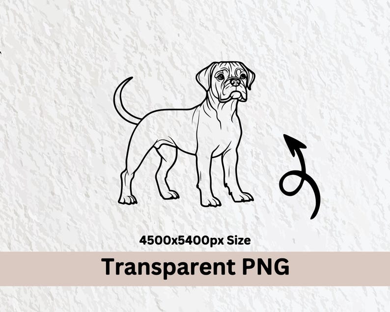 Boxer Dog SVG Bundle: Silhouette Clipart, Vector Graphics (PNG, SVG) - Etsy