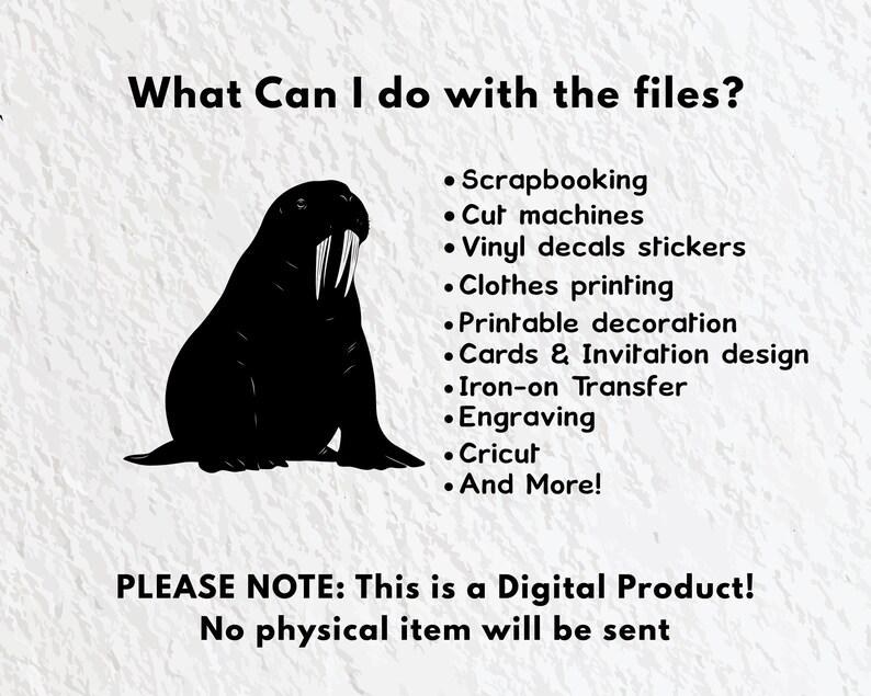 Walrus Silhouette Svg, Walrus Svg Bundle, Walrus Clipart, Walrus Decal ...