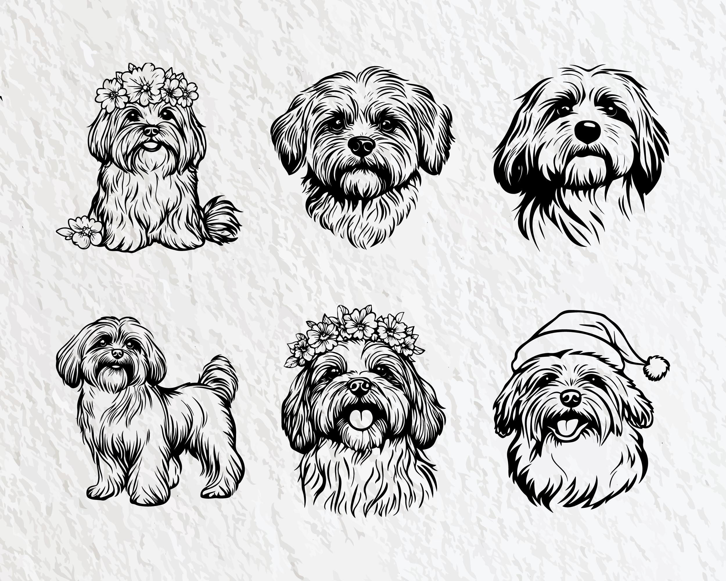 Lhasa Apso Dog SVG Bundle: Silhouette Clipart, Logo Icon (PNG, SVG) - Etsy