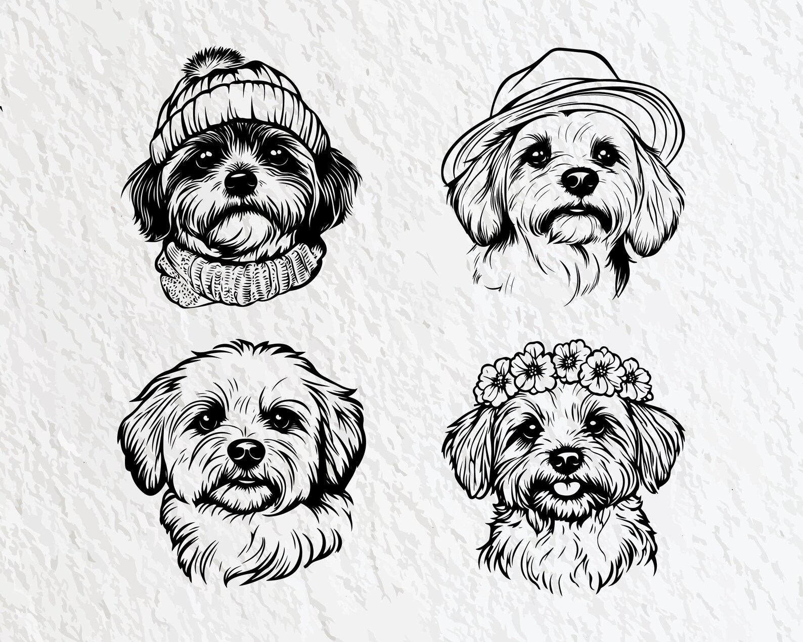 Shichon Dog SVG Bundle: Silhouette, Clipart, Outline, Vector (PNG) - Etsy