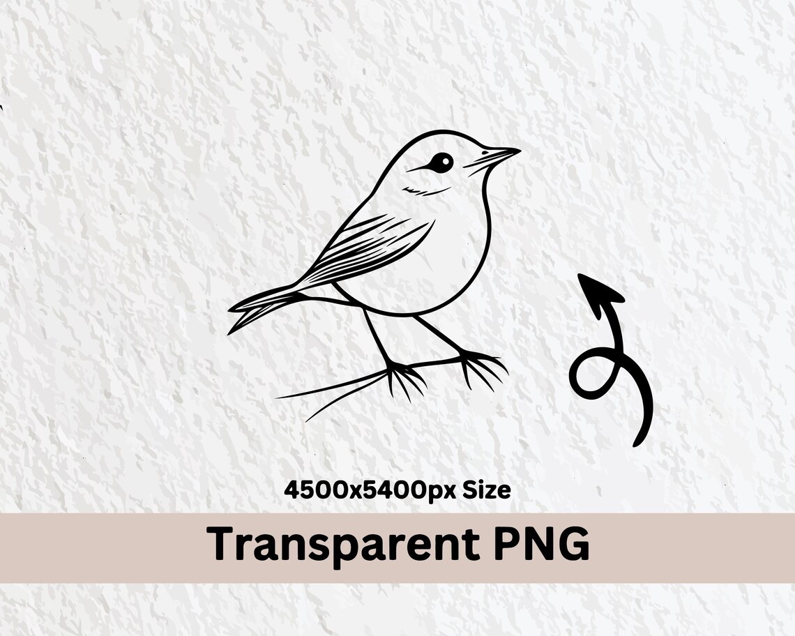 Wren SVG Bundle: Silhouette Clipart, Vector Decal (PNG, Cricut) - Etsy