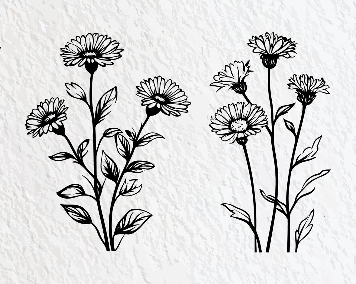 Aster Flower SVG Bundle: Floral Clipart, Logo Icon Files - Etsy
