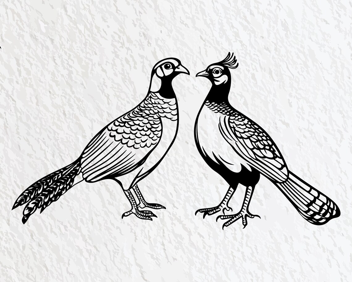 Pheasant SVG Bundle: Silhouette Clipart, Vector Cut Files - Etsy