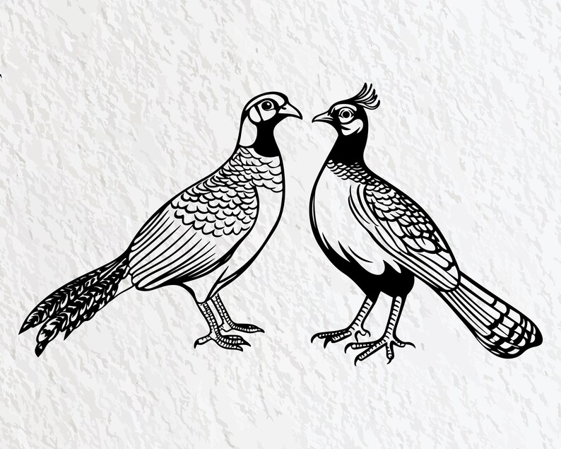 Pheasant SVG Bundle: Silhouette Clipart, Vector Cut Files - Etsy