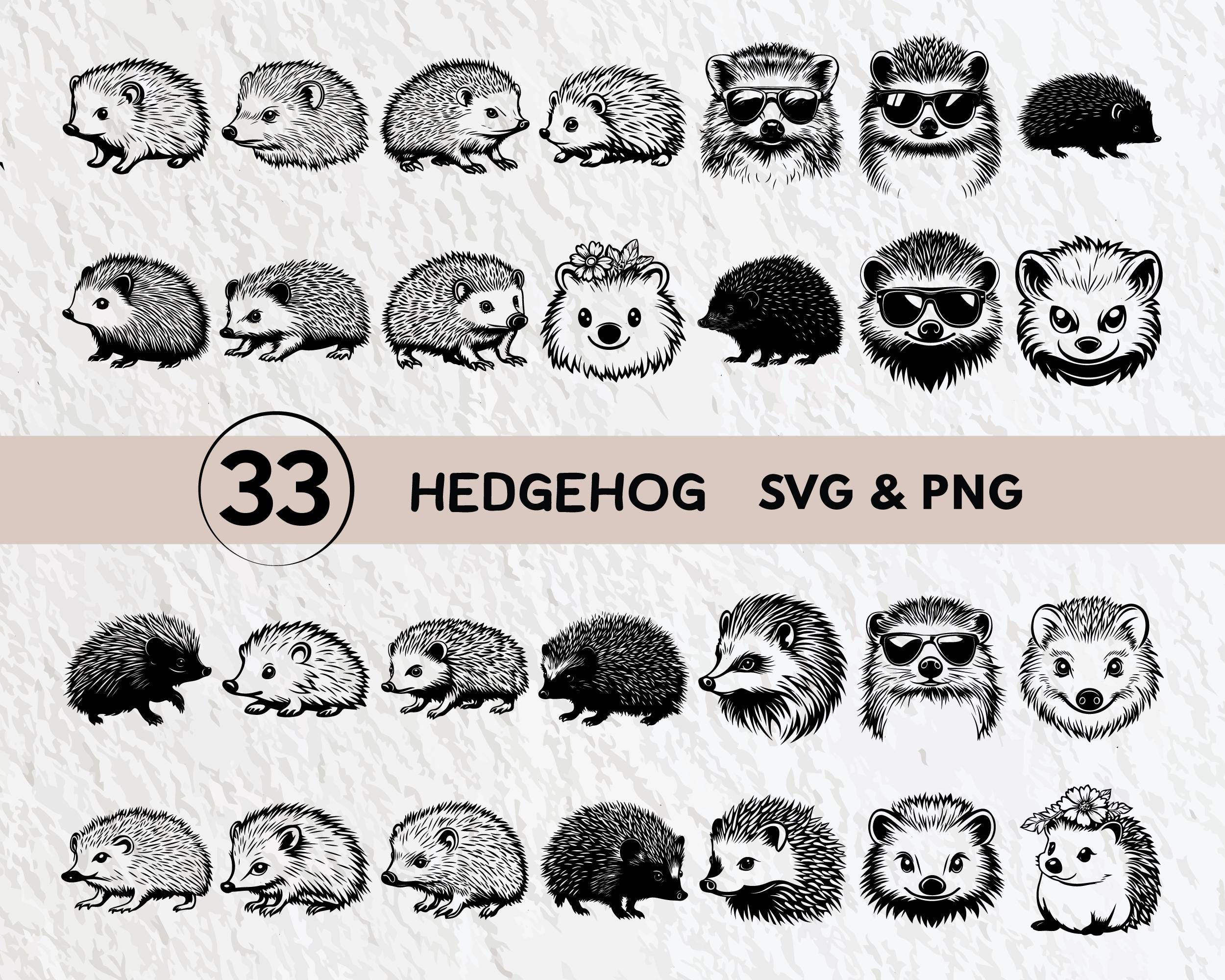 Hedgehog Svg Bundle, Hedgehog Silhouette, Hedgehog Clipart Png ...
