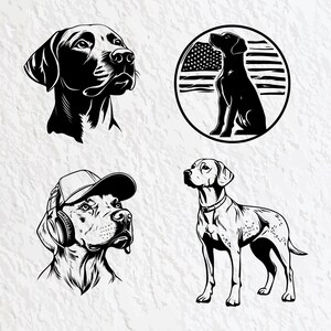 English Pointer Svg Bundle, English Pointer Silhouette, English Pointer ...