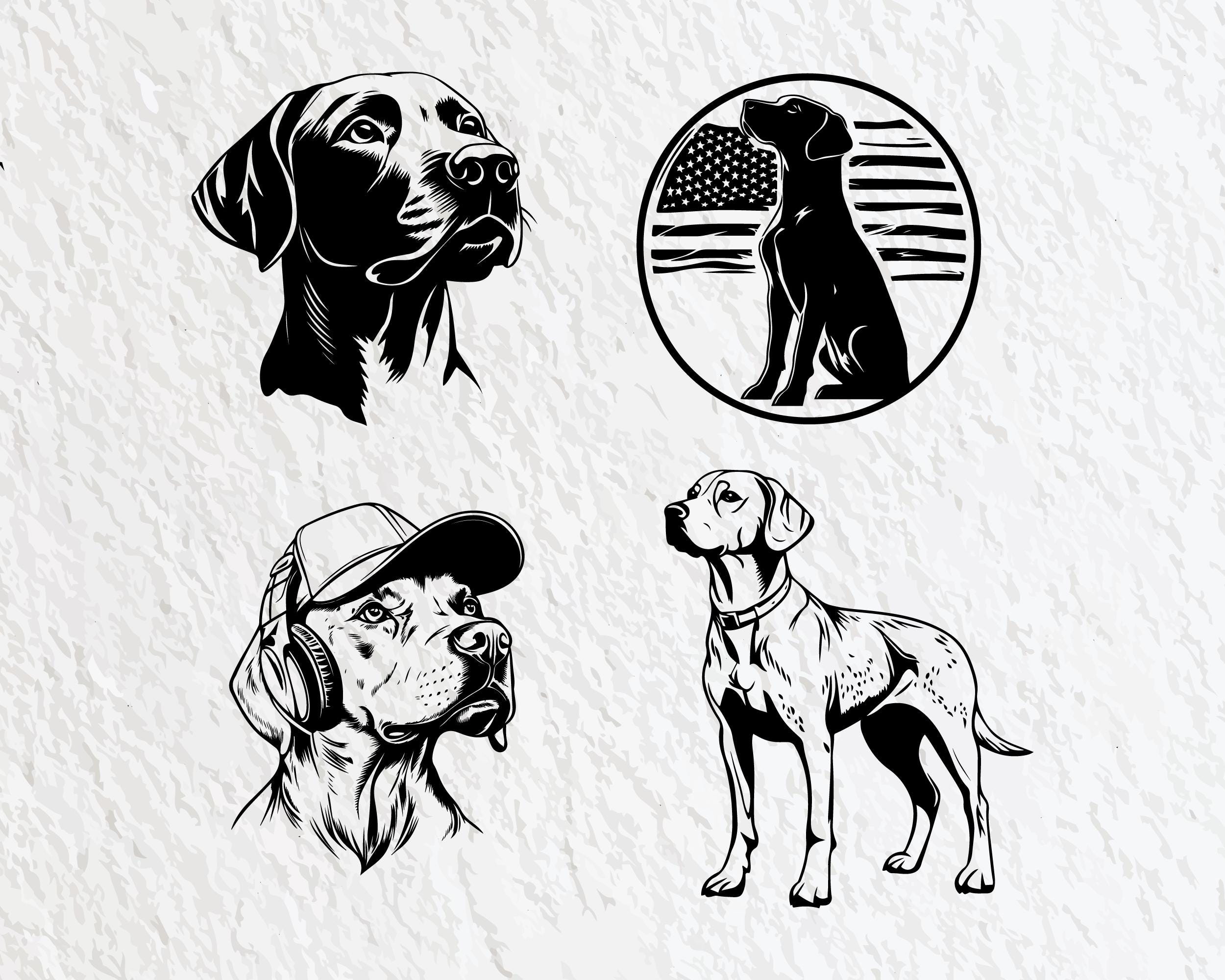 English Pointer Svg Bundle, English Pointer Silhouette, English Pointer ...