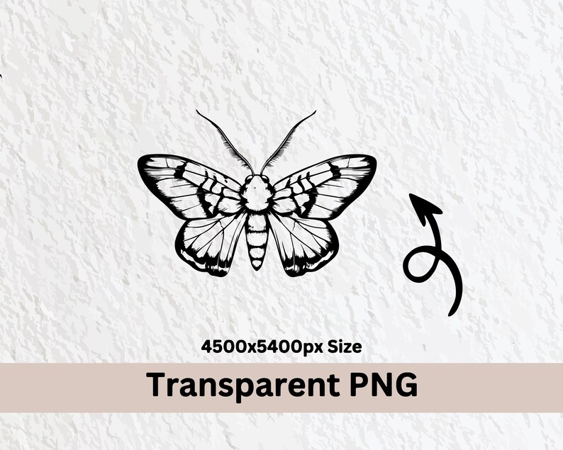 Moth Svg Bundle, Moth Silhouette, Moth Clipart Png, Moth Outline, Moth ...