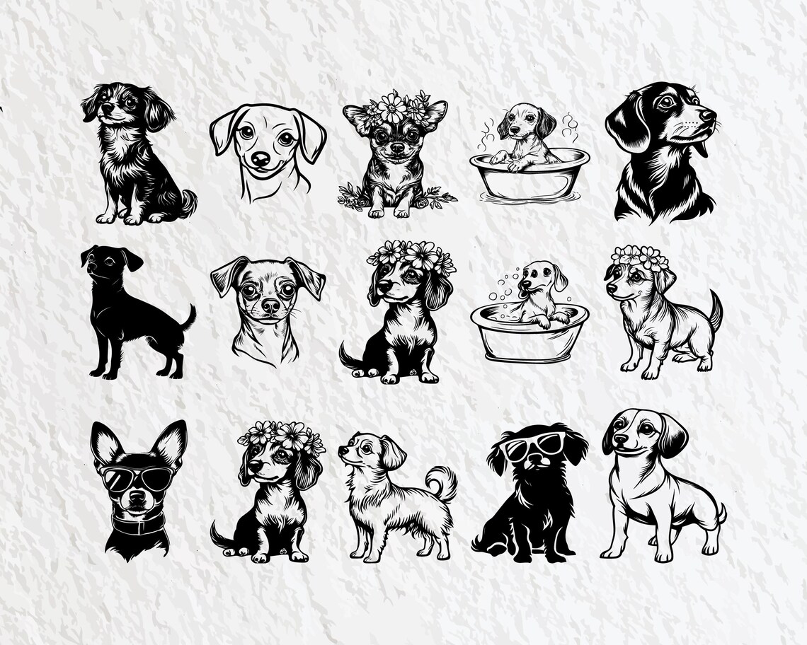 Chiweenie Dog Svg Bundle, Chiweenie Dog Silhouette, Chiweenie Dog ...