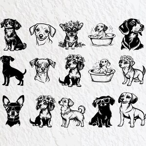 Chiweenie Dog Svg Bundle, Chiweenie Dog Silhouette, Chiweenie Dog ...
