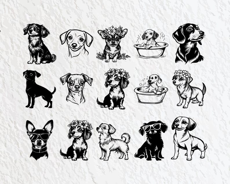 Chiweenie Dog Svg Bundle, Chiweenie Dog Silhouette, Chiweenie Dog ...