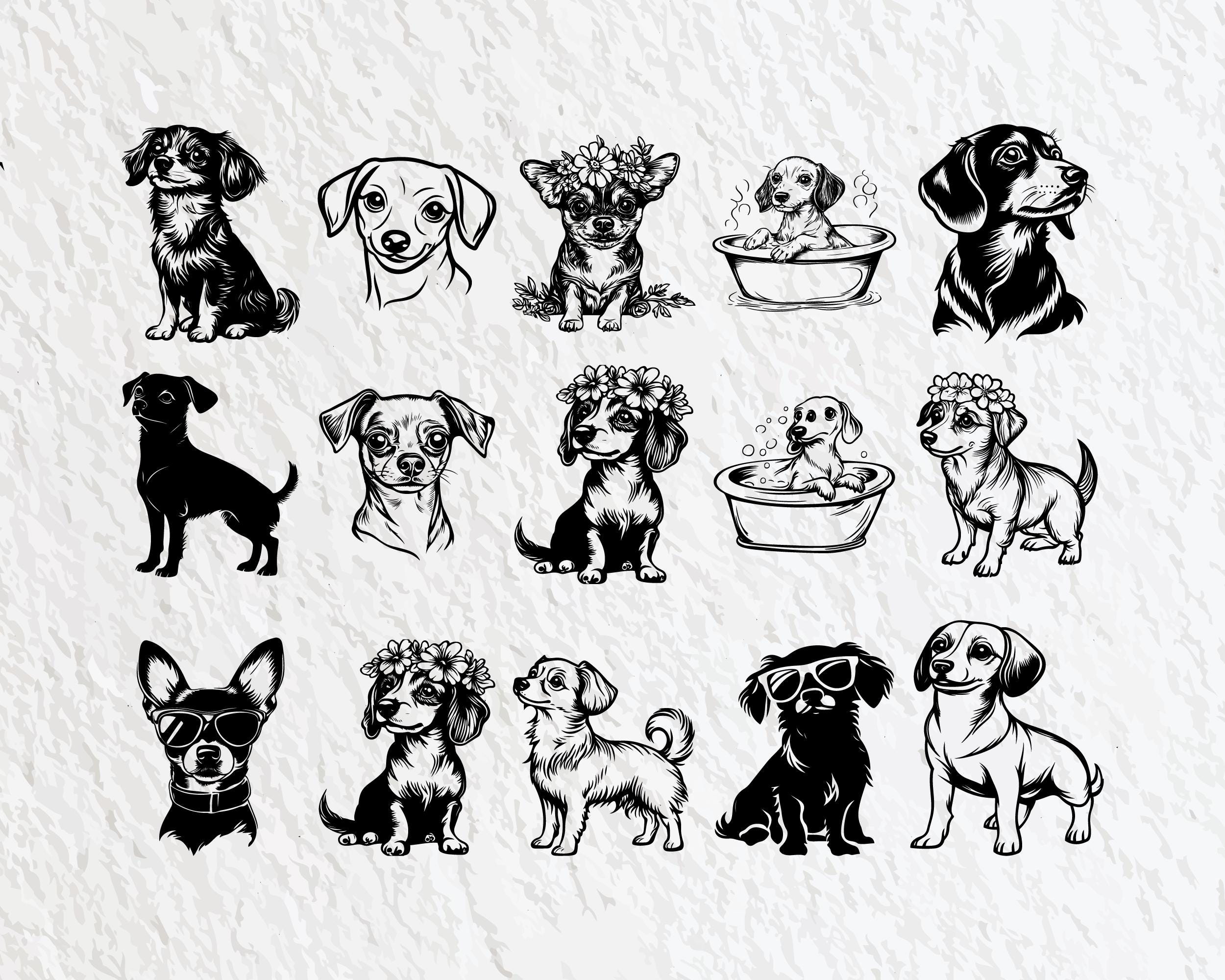 Chiweenie Dog SVG Bundle: Silhouette, Clipart, Outline (PNG, Cricut) - Etsy