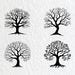 Oak Tree SVG Bundle: Silhouette Clipart, Logo Icon (PNG, Vector) - Etsy