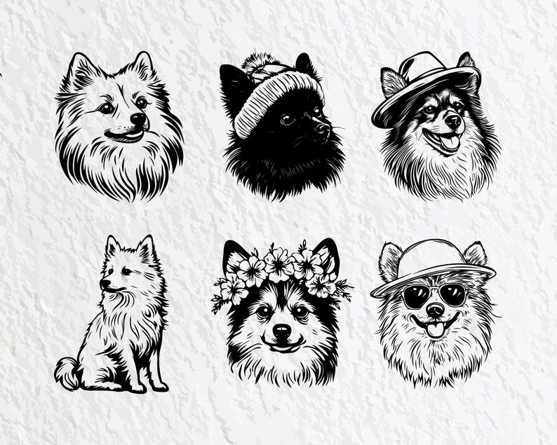 German Spitz SVG Bundle: Dog Clipart, Silhouette, Outline (digital ...