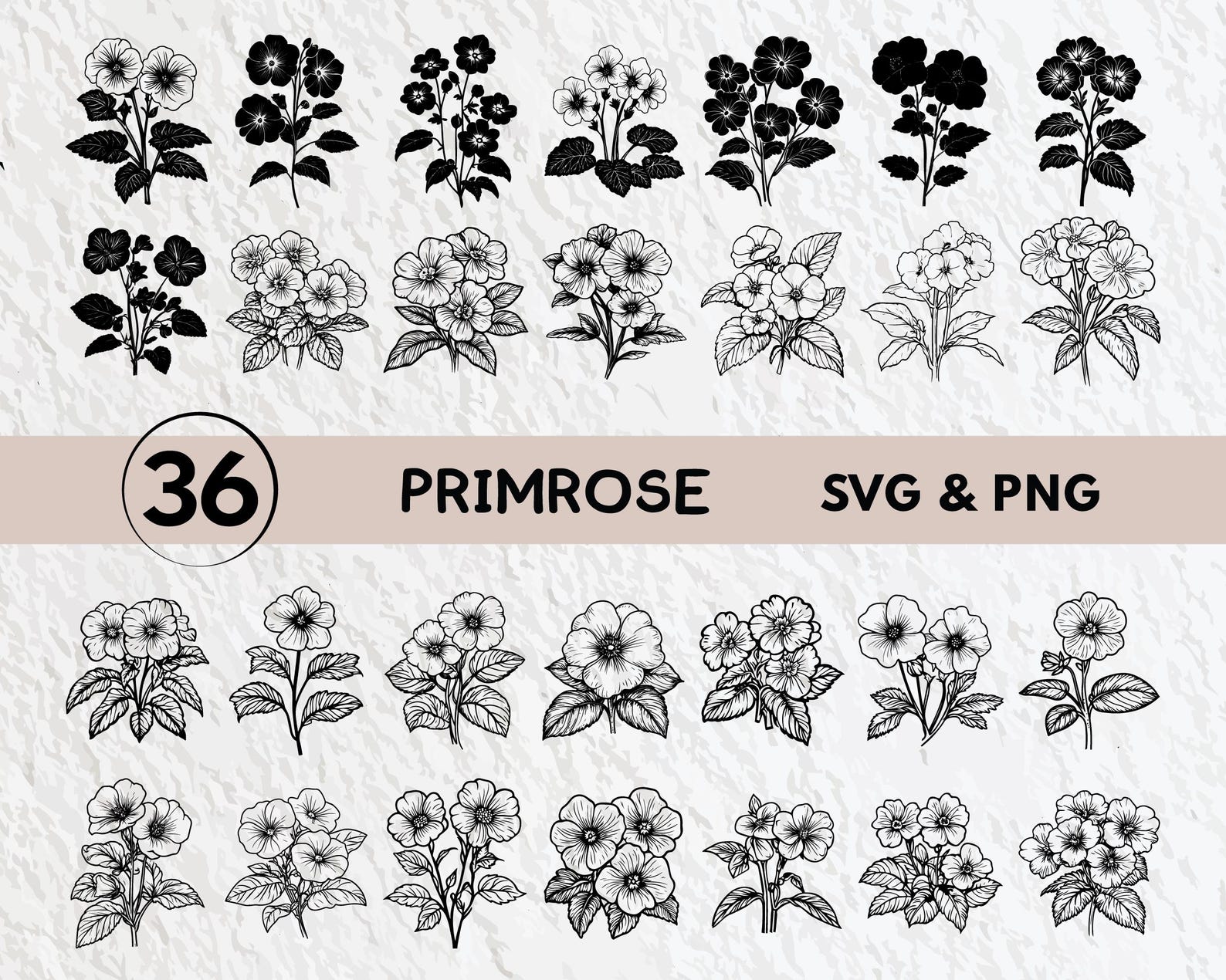 Primrose Svg Bundle, Primrose Silhouette, Primrose Clipart Png ...