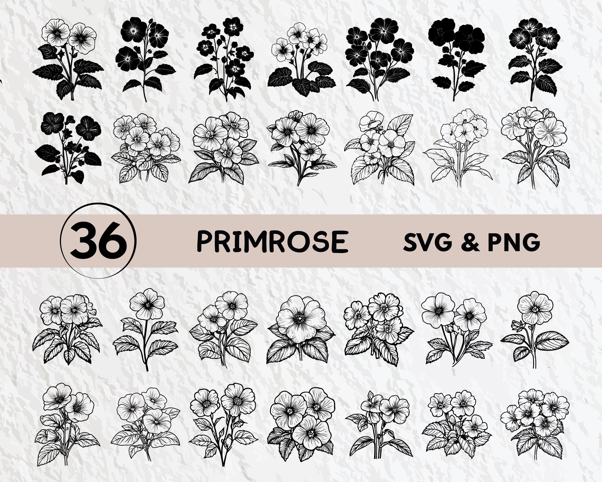 Primrose Svg Bundle, Primrose Silhouette, Primrose Clipart Png ...