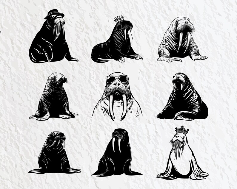 Walrus Silhouette Svg, Walrus Svg Bundle, Walrus Clipart, Walrus Decal ...