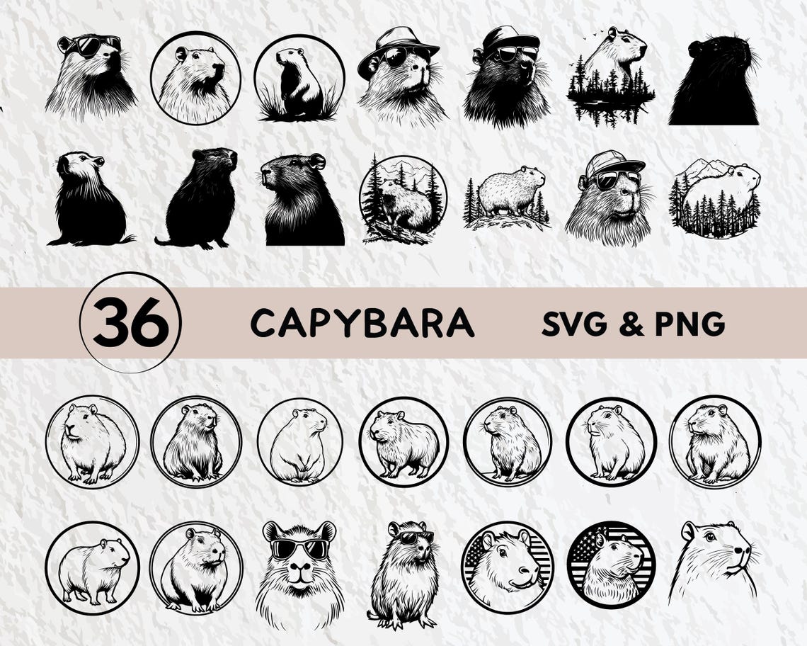 Capybara Svg Bundle, Capybara Silhouette, Capybara Clipart Png ...
