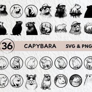 Capybara SVG Bundle: Silhouette Clipart, Logo Icon (PNG, Cricut Files ...