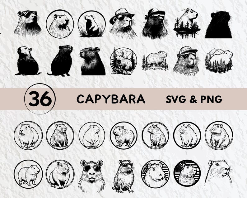 Capybara SVG Bundle: Silhouette Clipart, Logo Icon (PNG, Cricut Files ...